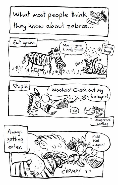 Review: Julius Zebra: Rumble with the Romans! by Gary Northfield ...